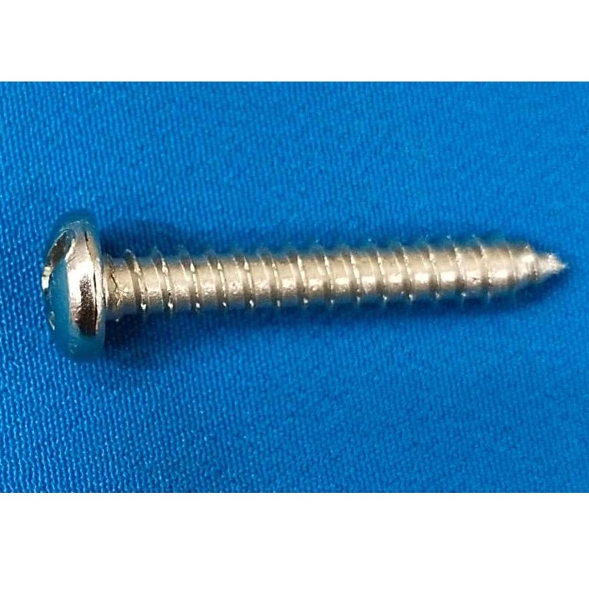 (SMALL PACK) #8 SELF TAPPING SCREW WOOD SCREW SKRU KAYU | Shopee Malaysia