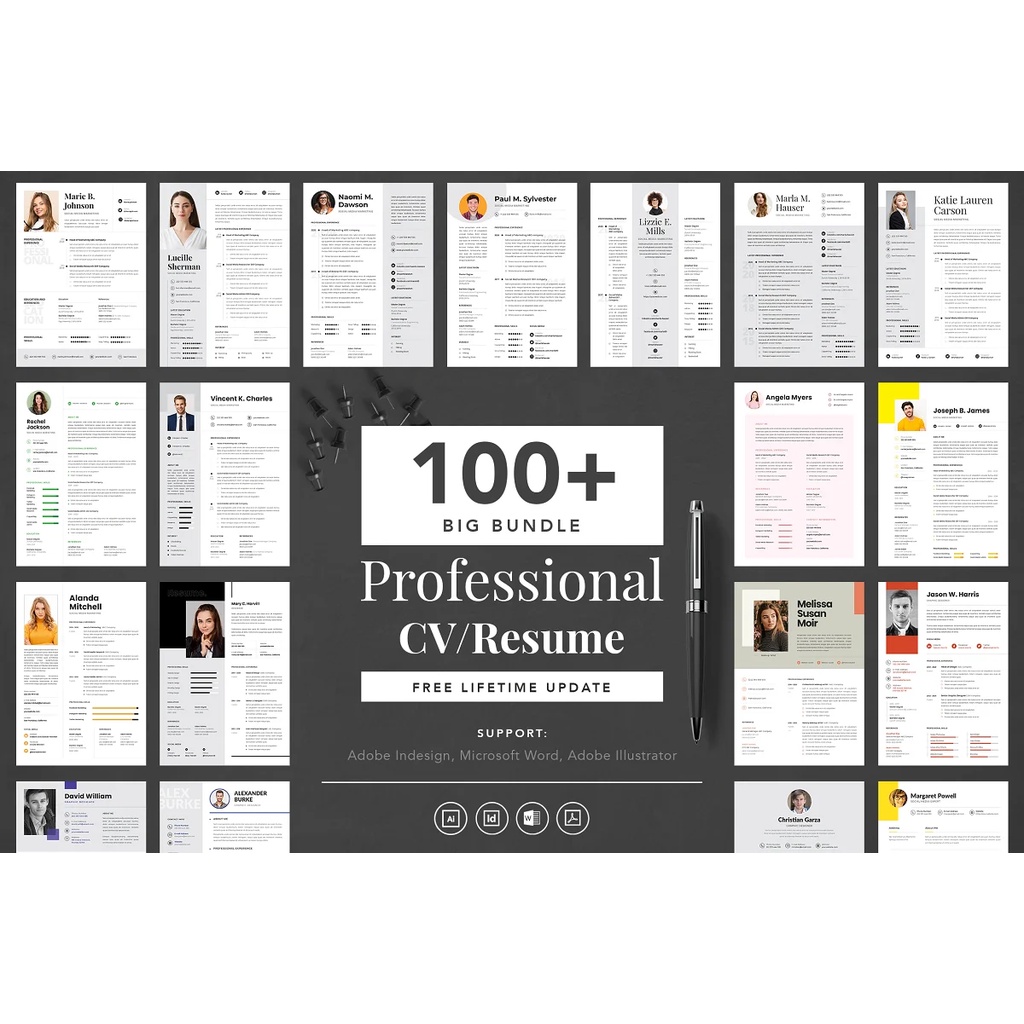 Big Bundle Professional CV Resume templates in Indesign, Adobe ...
