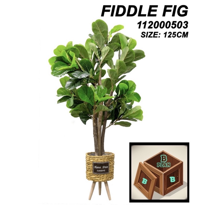 ️ARTIFICIAL money tree/fiddle fig /dracena/ PLANT/yucca//DECORATION ...