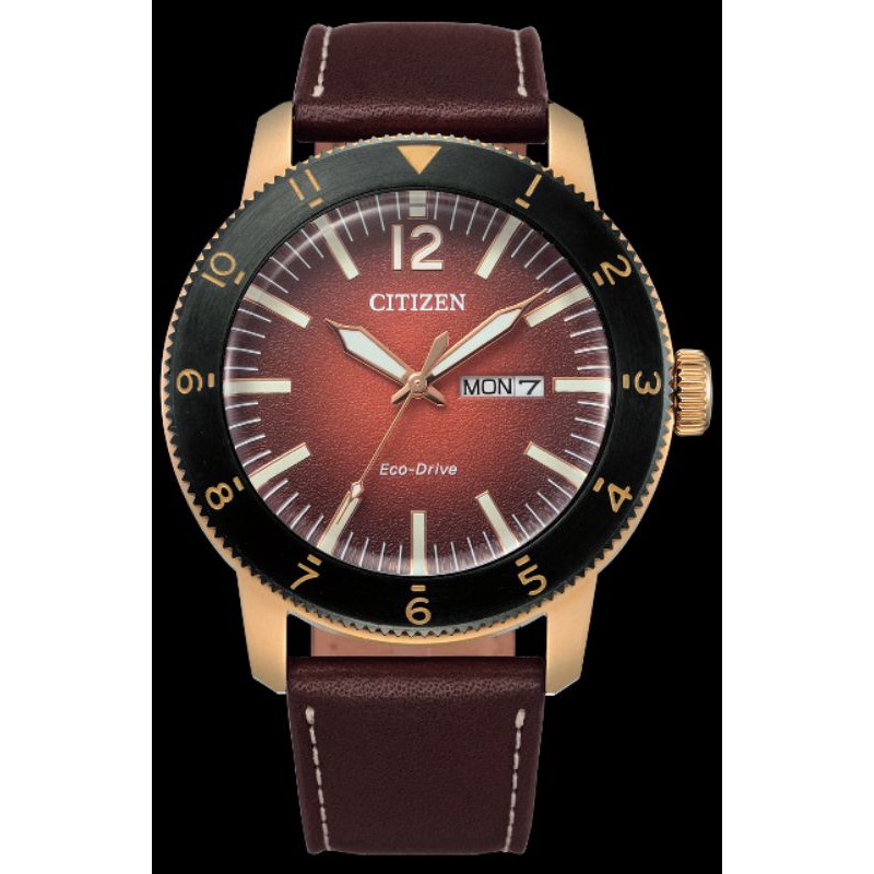 Citizen Eco Drive AW0079-13X | Shopee Malaysia