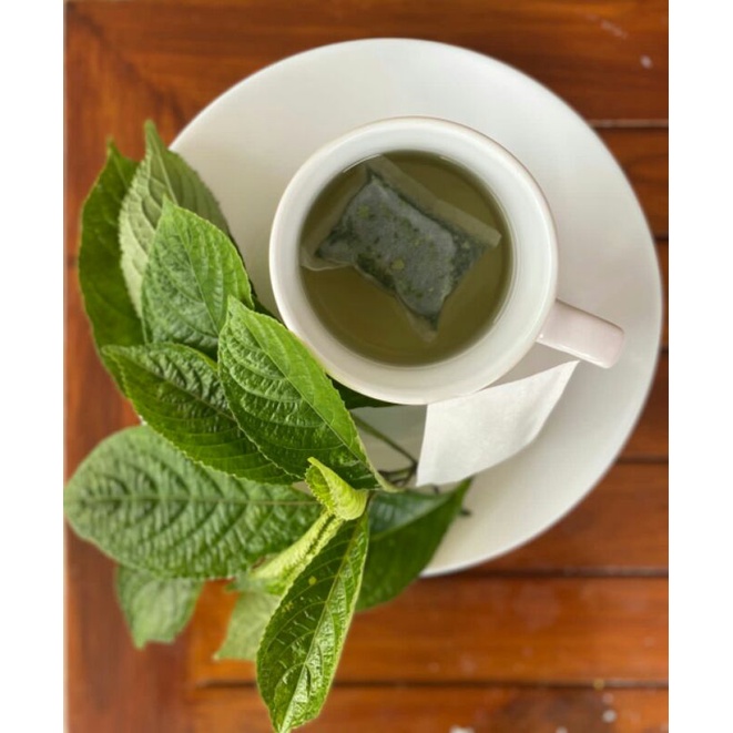 Herba pecah beling / Teh ,merawat Batu karang, Sakit buah pinggang Air ...