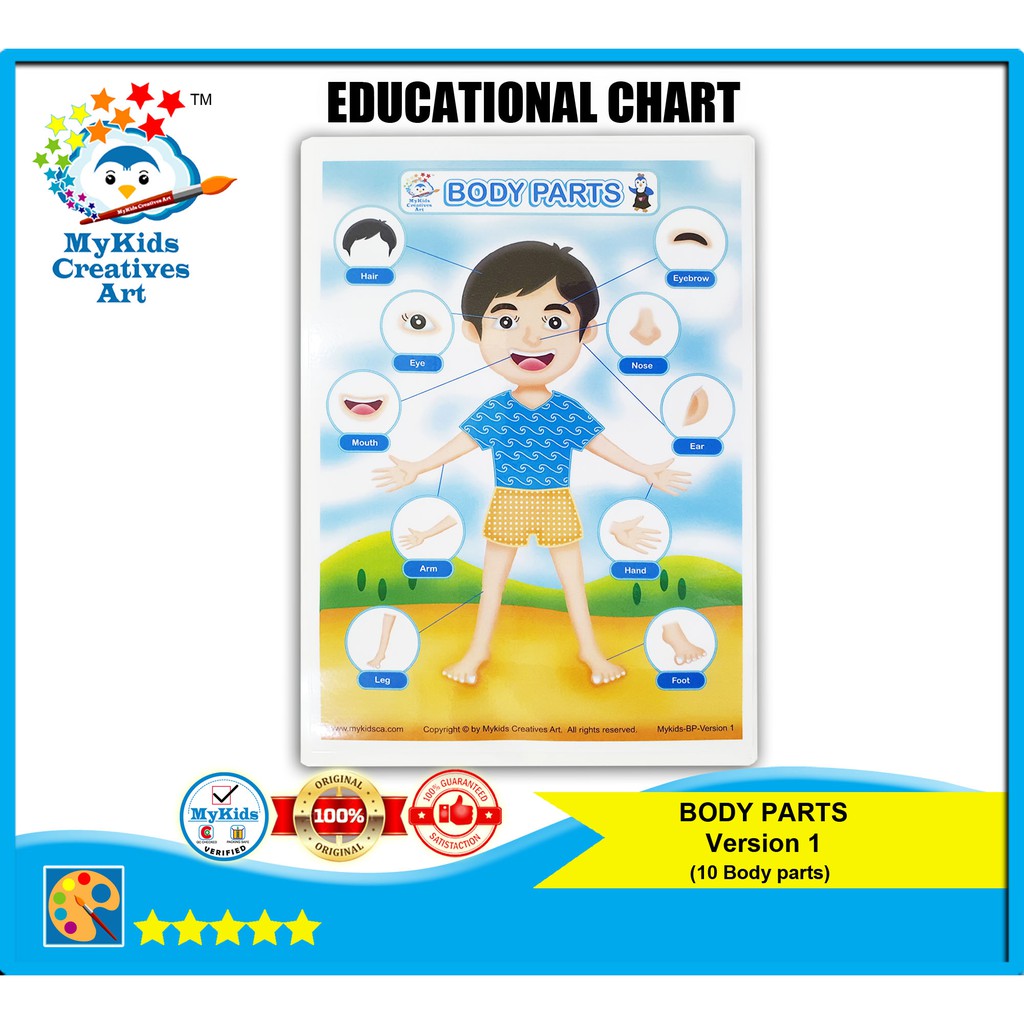EDUCATIONAL CHART CARD (KIDS) BODY PARTS | Shopee Malaysia