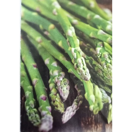 15 biji benih asparagus | Shopee Malaysia