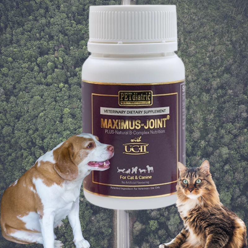 PETdiatric Maximus Joint UCII B Complex 20mg 20kg 250mg 60 Tablets ...