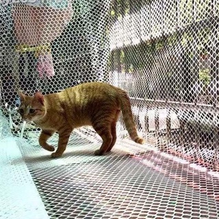50cm or 1m Width Halang Kucing Masuk Jaring Pagar Plastik Putih Jaring ...