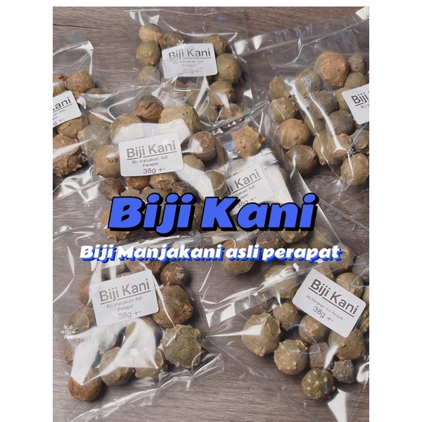 Biji Manjakani asli perapat Biji Kani / Maasikai / Gall Nut | Shopee ...