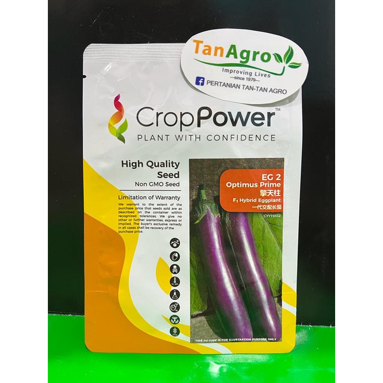 👉ASLI👈🏻 Crop Power biji benih F1 Hibrid terung Optimus Prime EG2 10gm | Shopee Malaysia