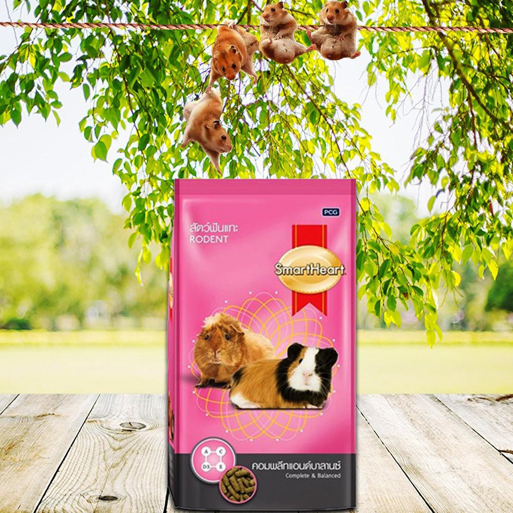 Smart Heart Rodent Food 1kg Original packaging (Exp 05/2023) | Shopee ...