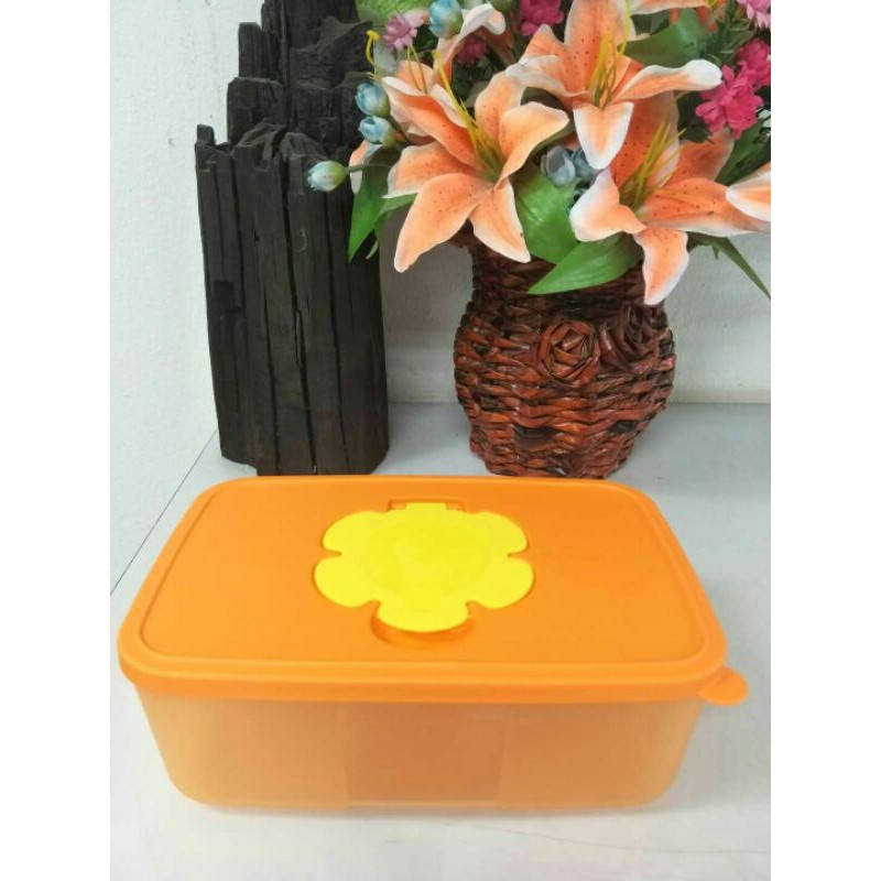 📌Tupperware Tissue Box limited edition 📌 | Shopee Malaysia