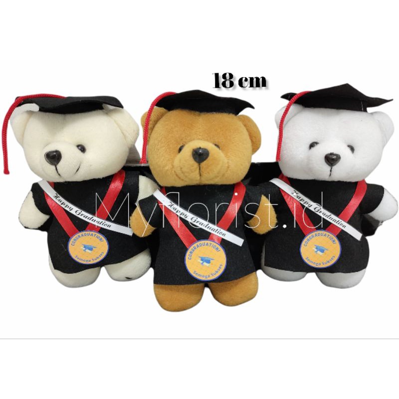 18cm Graduation Doll mini Bouquet Doll Graduation Gift Bouquet ...