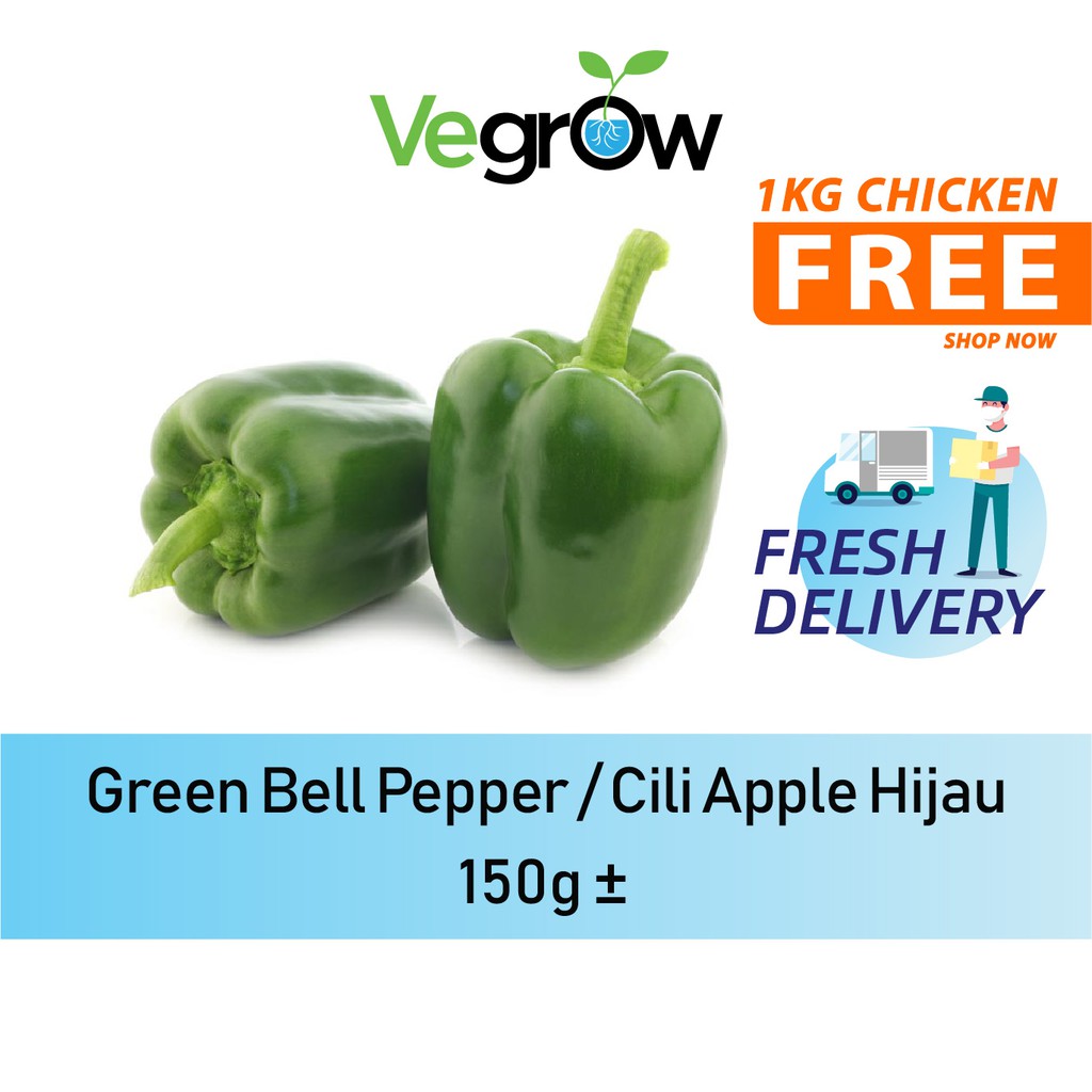 🔥FRESH 🔥Green Bell Pepper / Cili Apple Hijau 150g +- | Shopee Malaysia