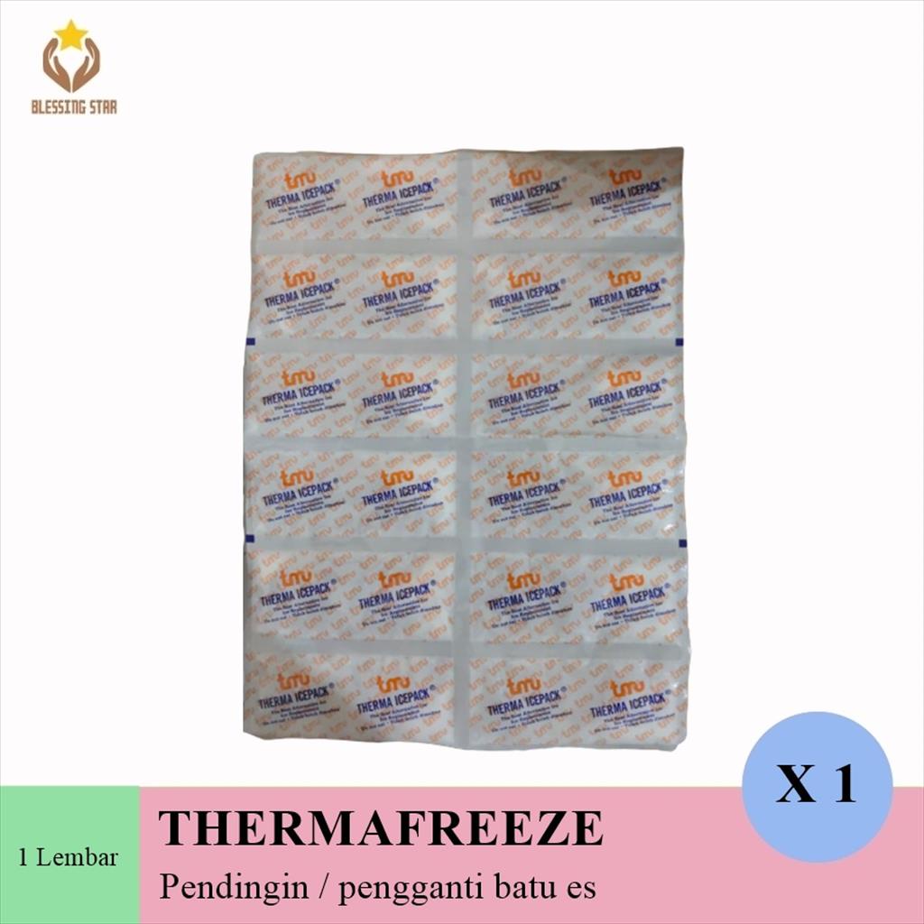 Thermafreeze ice gel sheet dry ice pack dry | Shopee Malaysia