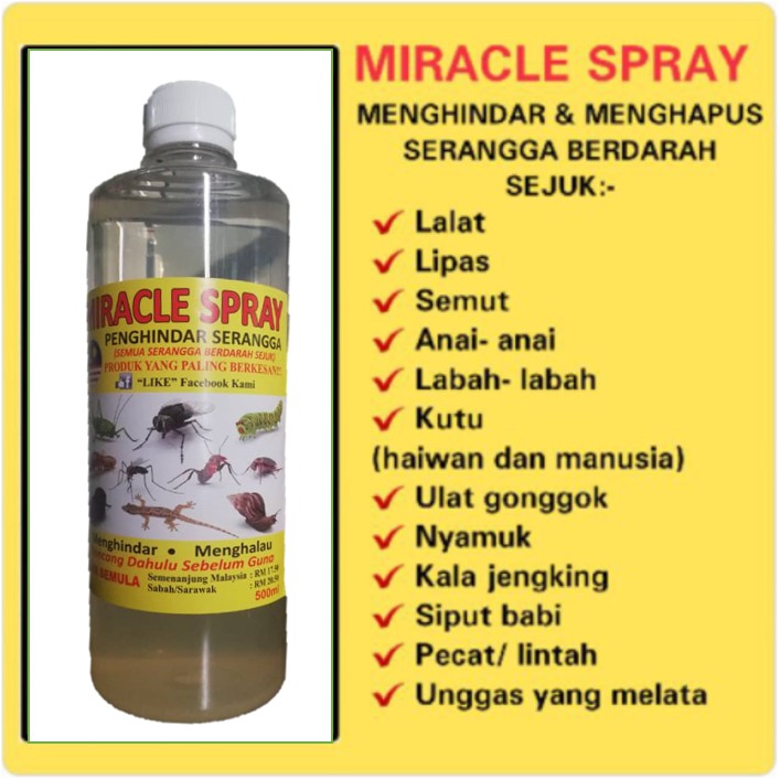 Refill MIRACLE SPRAY (Pembasmi serangga) hapuskan lalat semut lipas ...