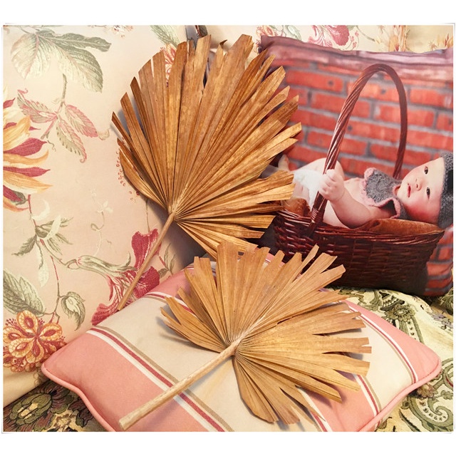 Big fan, Banana Fan Jigong, BBQ hand fan leaf, kipas satay, 大蒲扇 芭蕉扇 济公扇 ...