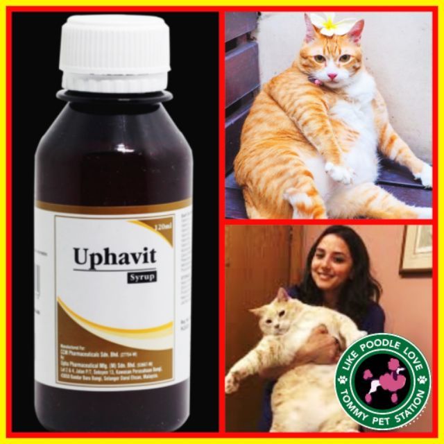 Uphavit Syrup demam kucing anjing VITAMIN SELERA MAKAN KUCING gemuk ...