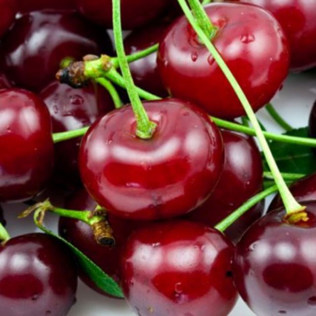 USA Cherry 樱桃 - 1pkt/500g | Shopee Malaysia