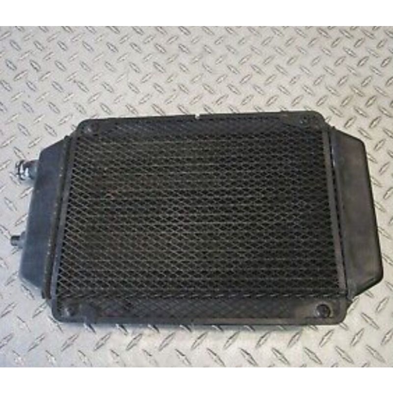 KAWASAKI VULCAN 800 RADIATOR | Shopee Malaysia