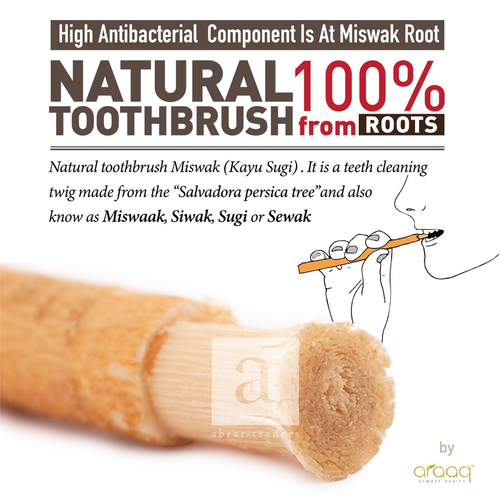 MISWAK Premium Natural Toothbrush from Roots (READY STOCK) | Shopee ...