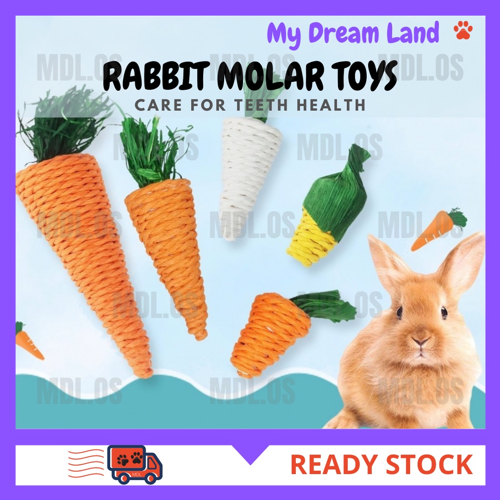 LOCAL DELIVERY- PET RABBIT HANDMADE MOLAR CARROT TOYS FOR TEETH ...
