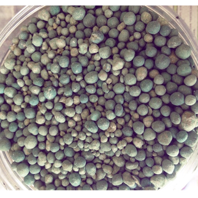 🌱2kg Baja NPK Green 15 15 15 / Baja Kesuburan, Pembesaran dan ...