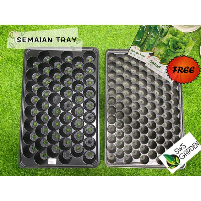 SEMAIAN TRAY ( A,B ) | Shopee Malaysia