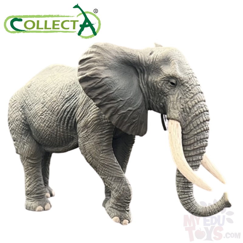 African Bush Elephant - Collecta 88966 Wild Life Animal Action Figurine ...
