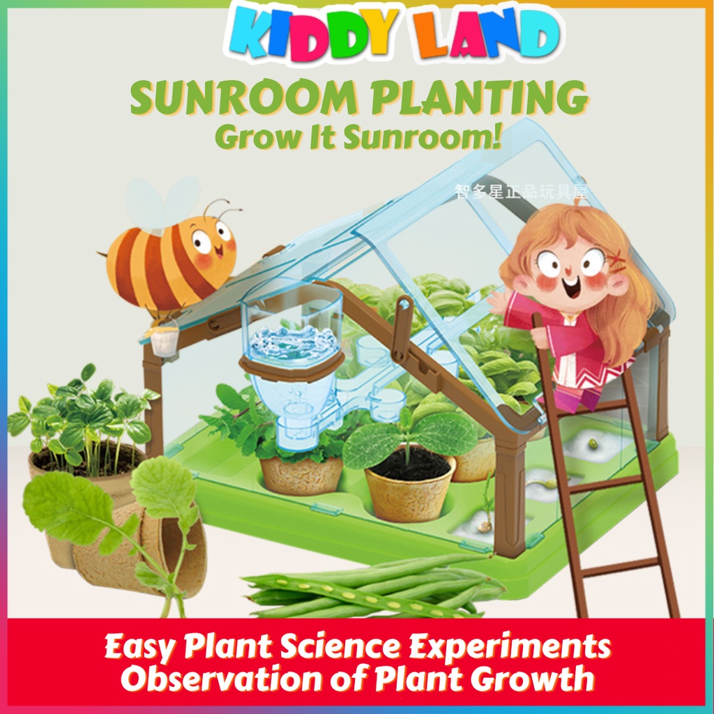 Mini Garden Planting Irrigation System Children's Plant Observation Box ...