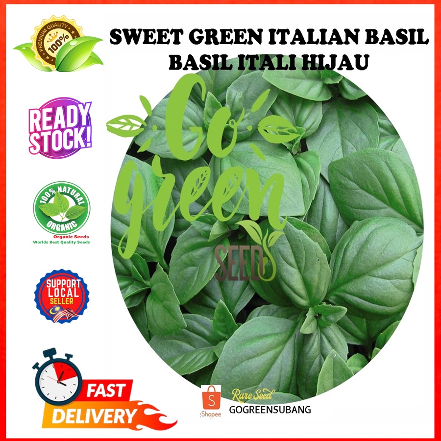 GO GREEN SWEET ITALIAN BASIL SEEDS BENIH BASIL MANIS ITALY | Shopee ...