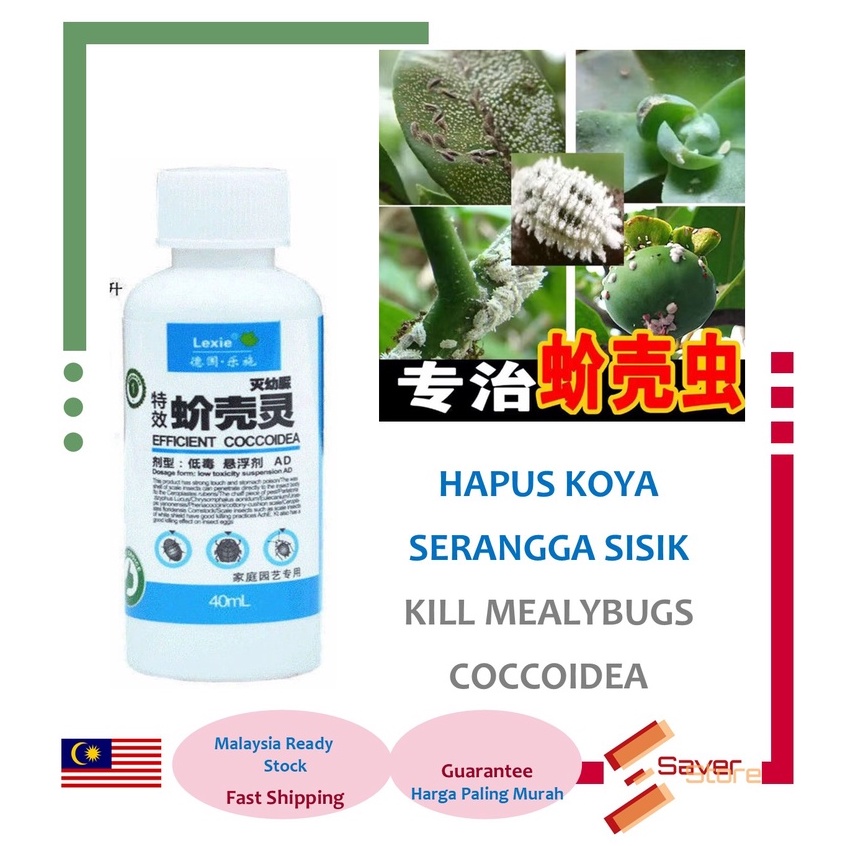 Saverstore Hapus Koya Serangga Sisik Hapus Hama Merah Labah蚧壳灵红蜘蛛螨虫杀虫剂 ...