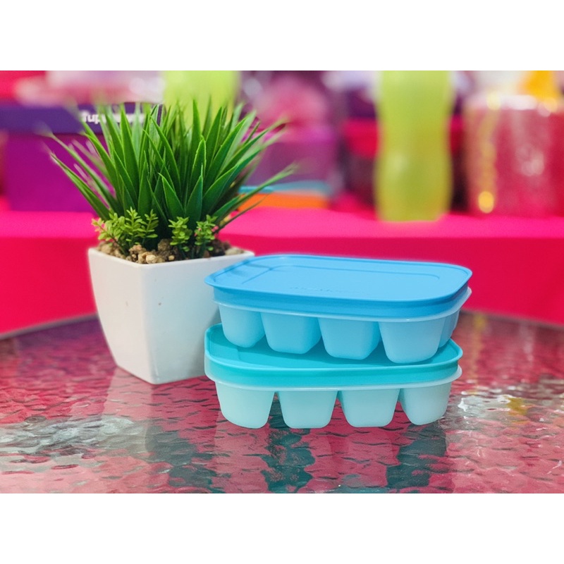 Tupperware Chill Freeze Ice Tray Set {LAST STOCK} | Shopee Malaysia