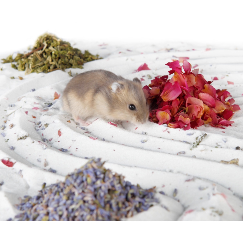 [Bucatstate Hamster Bath Sand 仓鼠浴沙] 1kg 布卡星 干花浴沙 炭浴砂 | Shopee Malaysia