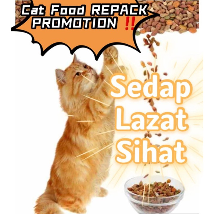 🆕️ PRO-DIET 🐱 Natural Cat Food🐱 Ocean Salmon Fish 1-2kg (NEW STOCK ...