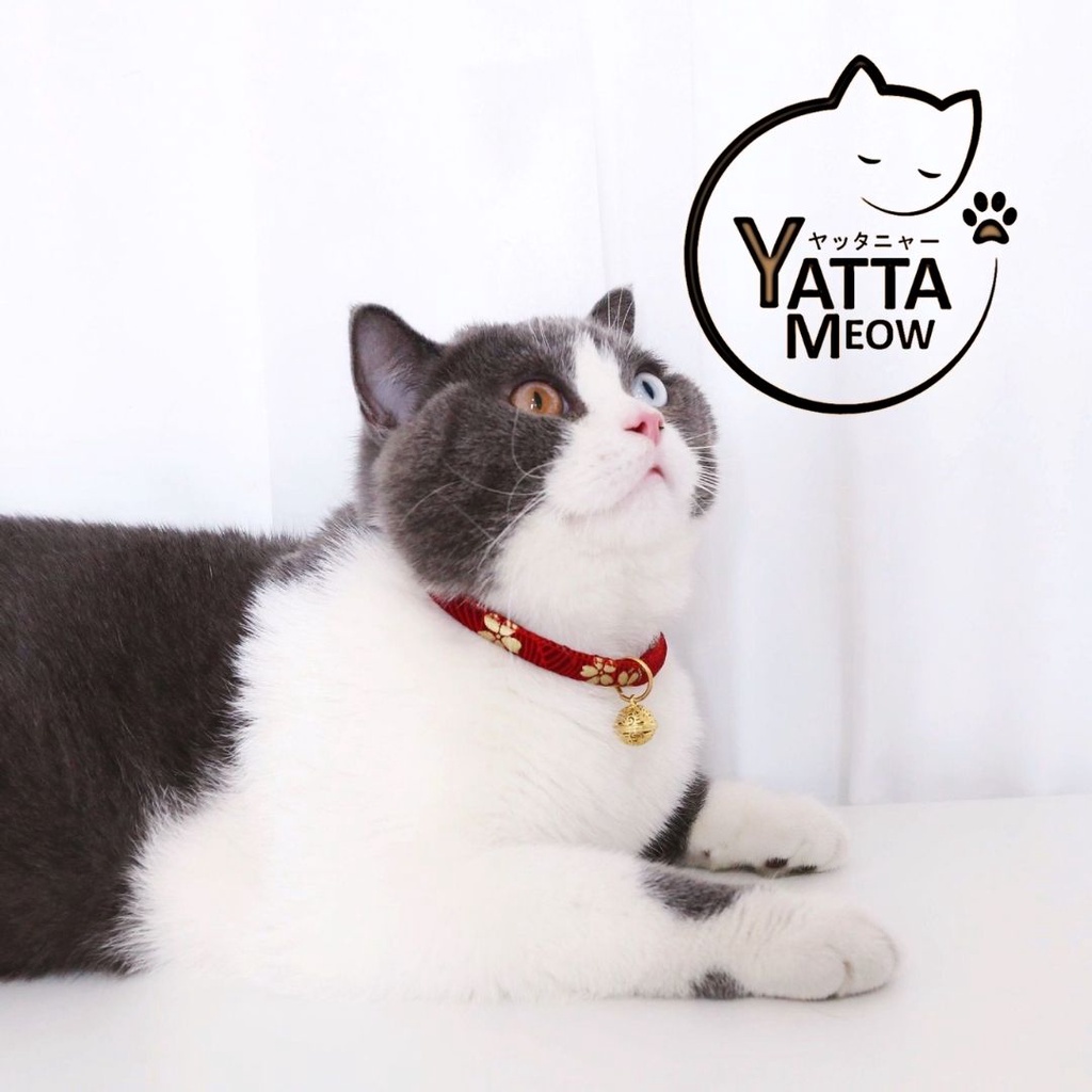 DAYUANZHI Chinese Style Pet Cat Collar 25-33CM Kolar Kucing ...