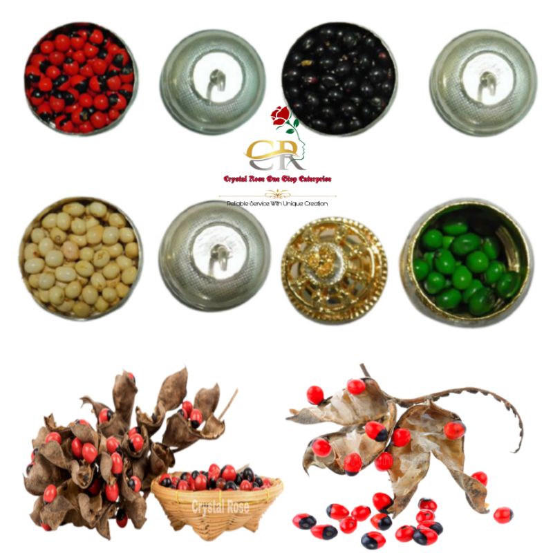 21 Pieces Original Rare Gundumani/குண்டுமணி/Coral Bead Vine/Chirmi ...