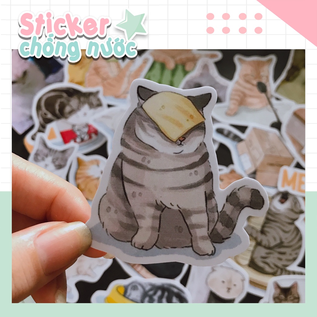 Cat meme sticker Set, funny cat sticker :) | Shopee Malaysia