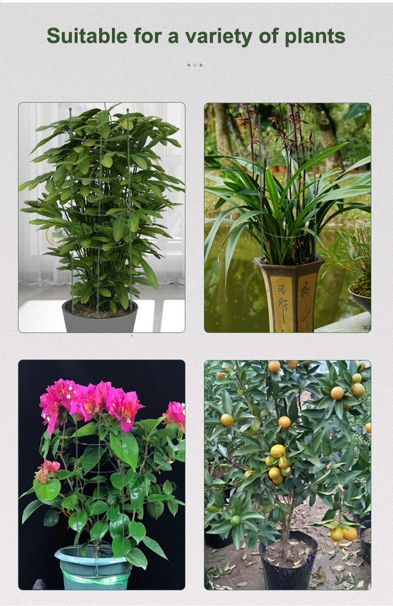 Conical plant climbing support stick net flower rack ring frame stand ...
