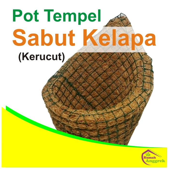 Coconut Fiber Paste Pot Cone wall orchid juvenile medium adult wire ...