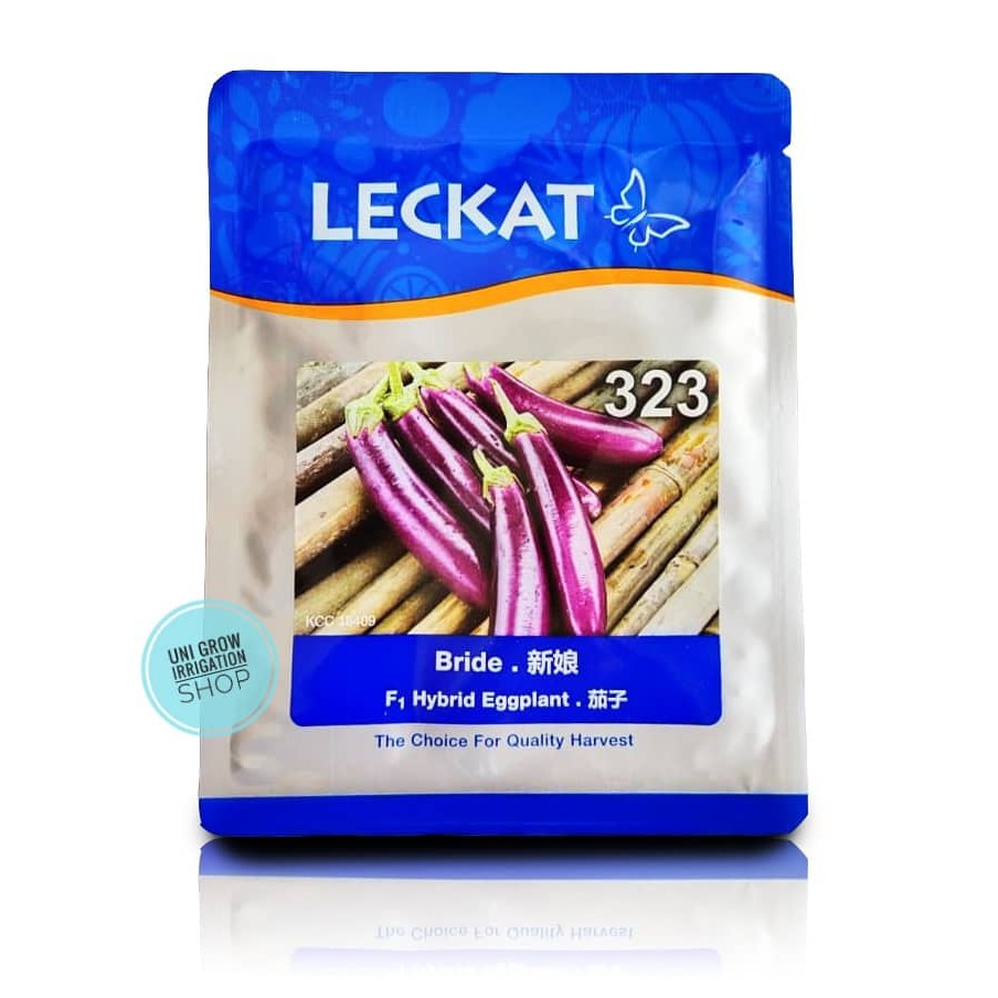 (10gm) +-1500 Biji F1 Mini Bride 323 Terung Mini Benih Leckat / Mini ...