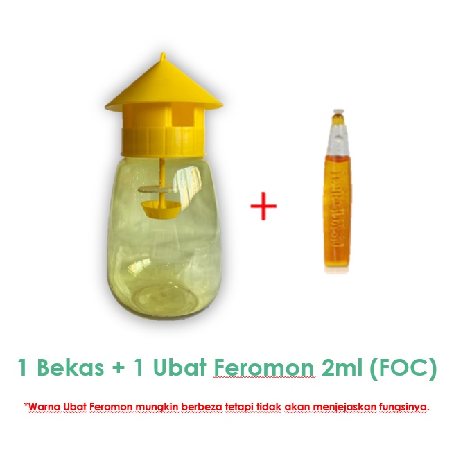 Anti Fruit Fly Trap Pheromone Attractant Bottle Catcher | Botol ...