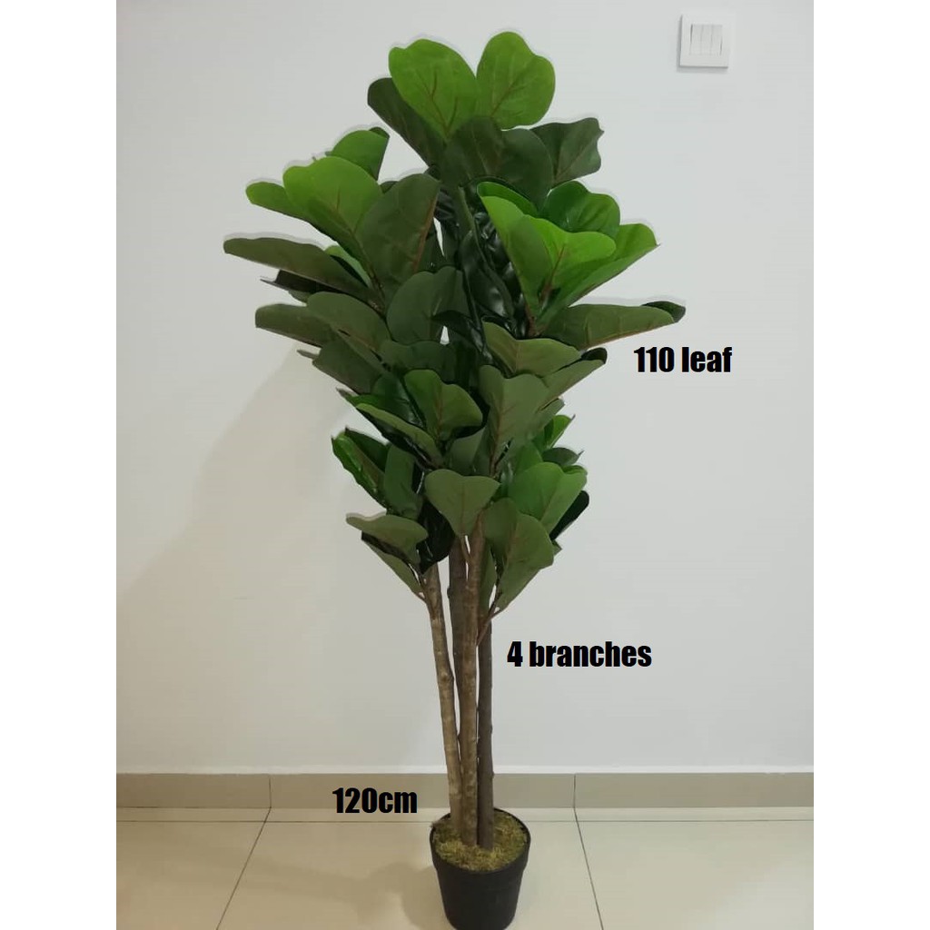Pokok Viral-artificial Premium Olive Tree & Eucalyptus Tree PLANT ...