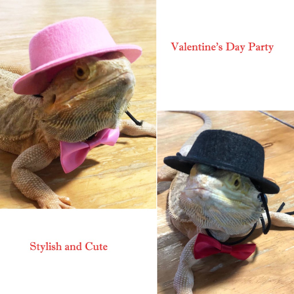 LIULIU 2PCS Valentine's Day Bearded Dragon Lizard Hat and Bowtie ...