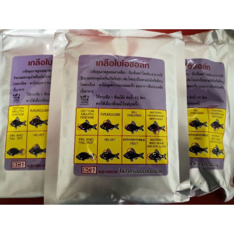 GARAM KUNING/YELLOW SALT BETTA /IKAN LAGA(THAILAND) | Shopee Malaysia