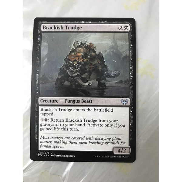 Magic The Gathering Brackish Trudge (STX) | Shopee Malaysia