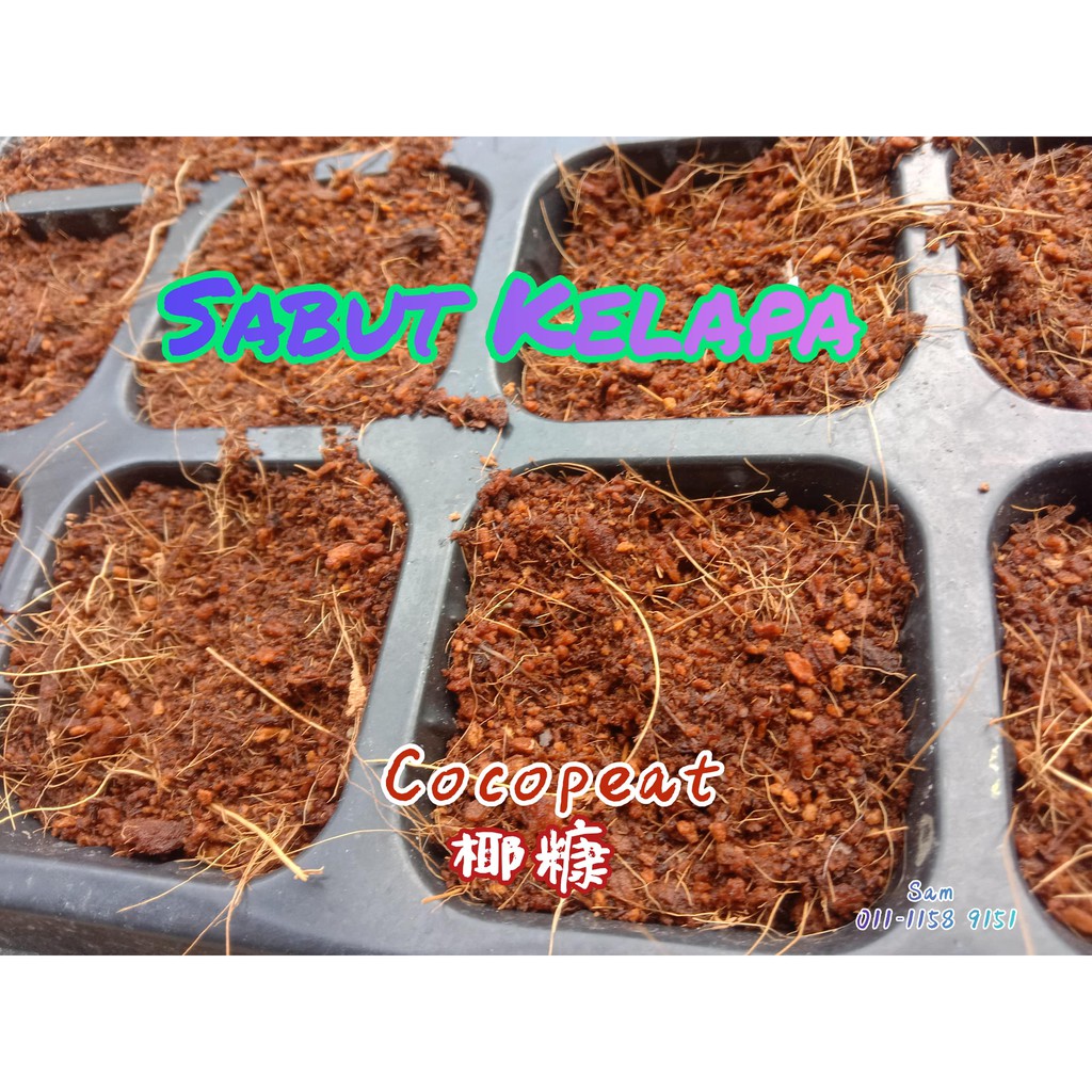 🔥HOT SALES🔥COCOPEAT / 椰糠 / SABUT KELAPA KOKOPIT (SMALL PACKING ...