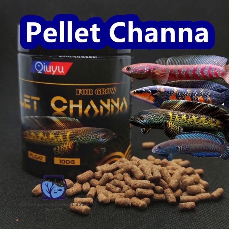 KFEI89 Qiuyu High Protein Channa Pellet / Channa Red Plus 高蛋白雷龙专食饲料 Boost Growth Enhance Colour ...