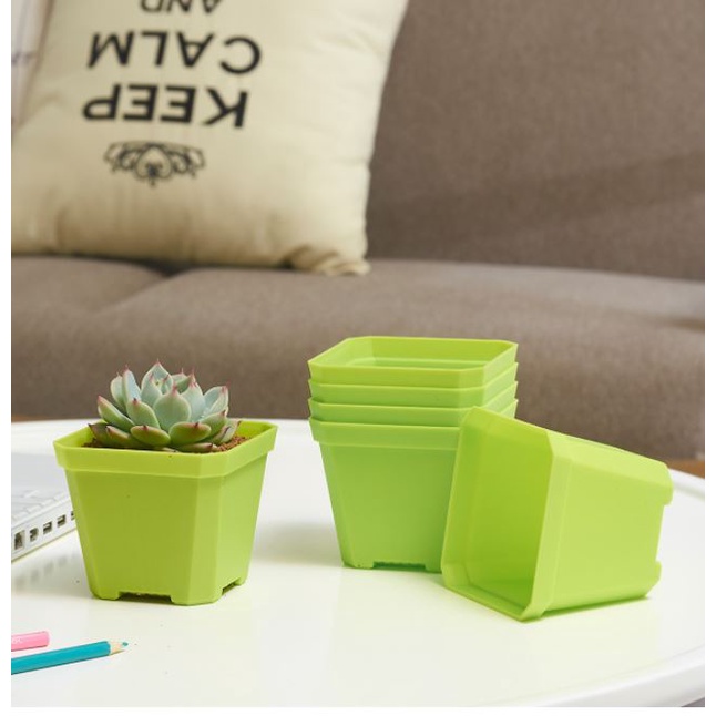 COLORFUL COLOR SUCCULENT CACTUS SQUARE PLASTIC POT PASU MINI PLASTIK ...