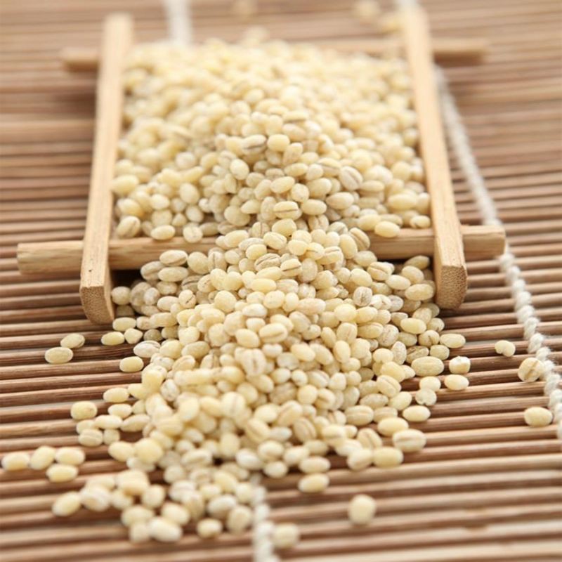 洋意米barli(500G/1000G) | Shopee Malaysia