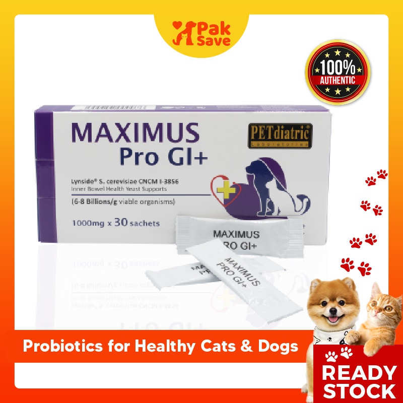 PETdiatric Maximus Pro GI+ 30 Sachets Intestine Health / Diarrhea ...