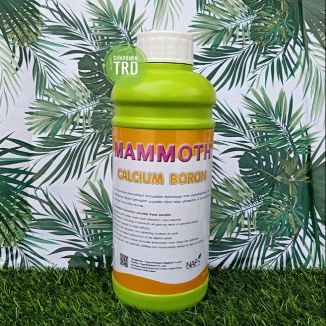 Botol 1 Liter MAMMOTH CALCIUM BORON Napnutriscience (Thailand) Baja ...