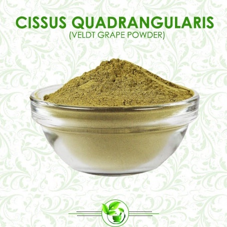 Veldt grape powder / Pirandai Powder (Imported) | Shopee Malaysia